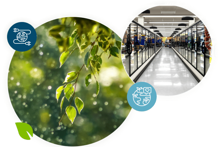 Service - Project funding, management & install - MPH Global