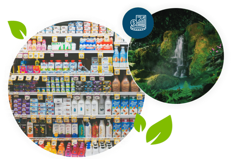 About MPH Global - Energy Solutions for a Greener Future