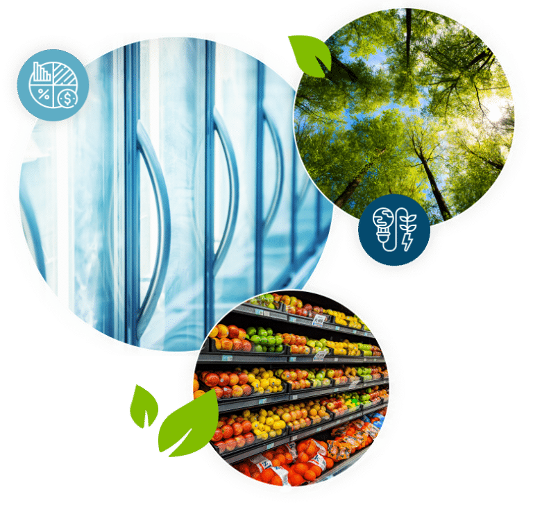 MPH Global - Bringing Sustainability to the Storefront